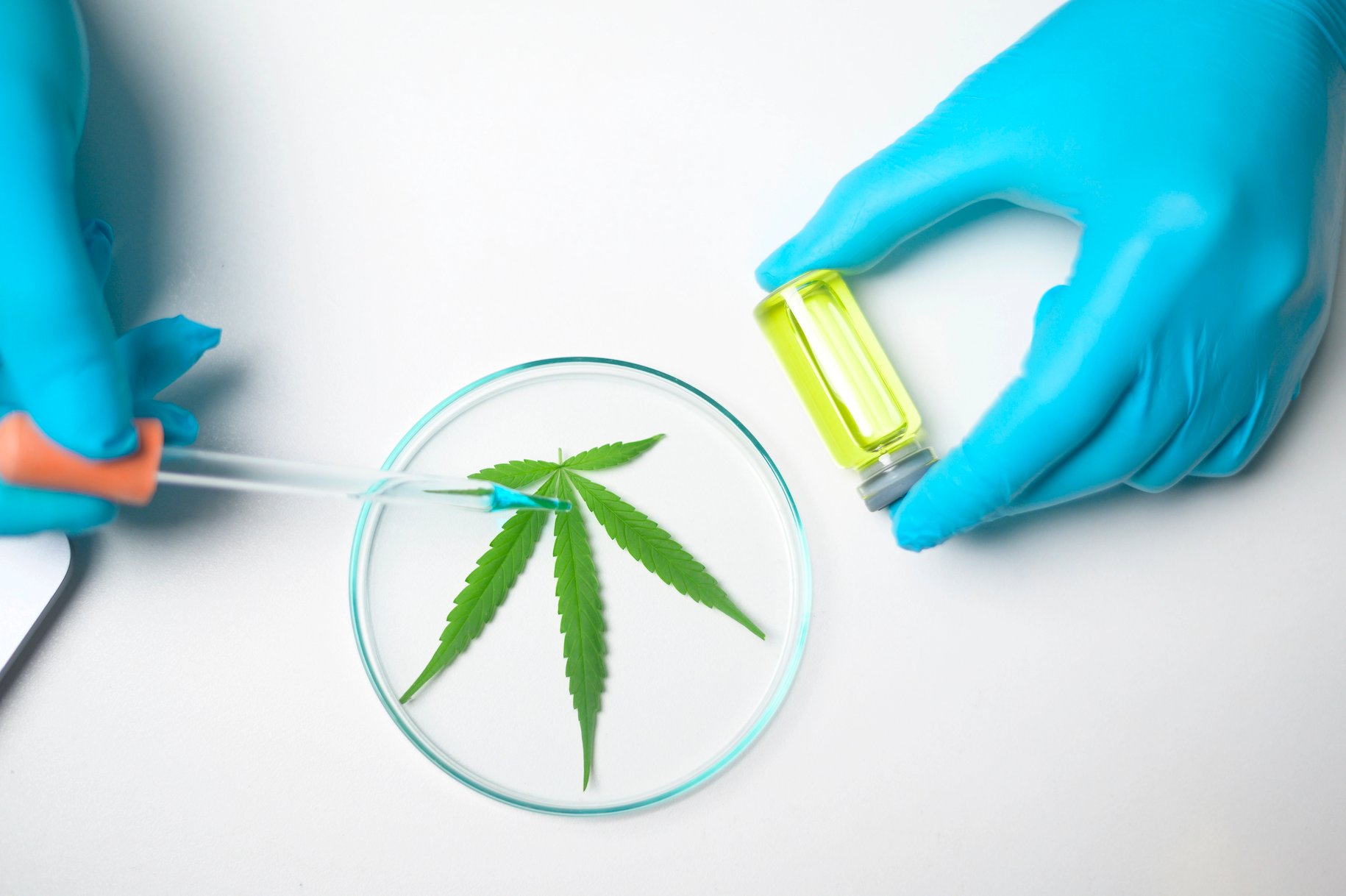 Why Terpene Testing in Cannabis Is More Important Than You Might Think